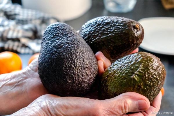 鳄梨价格多少钱一斤_鳄梨一斤多少钱-第3张图片-山城妙识 鳄梨价格多少钱一斤_鳄梨一斤多少钱-第3张图片-山城妙识