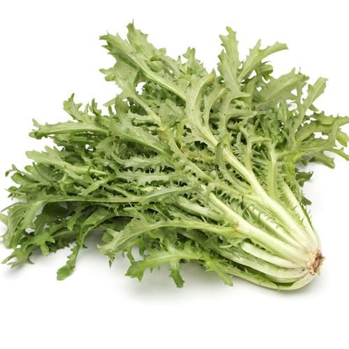 苦苣图片大全_苦苣长什么样-第2张图片-山城妙识