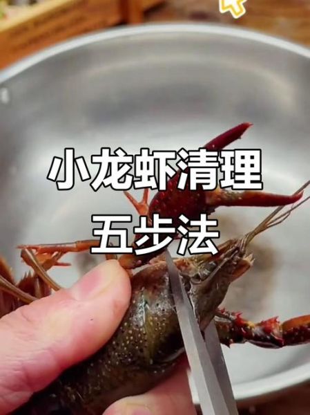 怎么洗龙虾又快又干净_龙虾清洗的正确方法-第1张图片-山城妙识