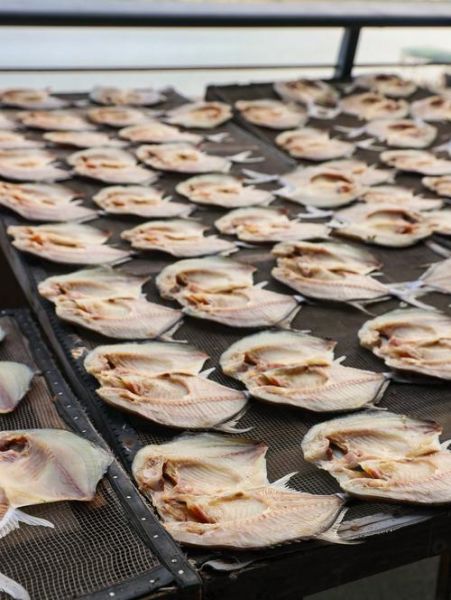 晒咸鱼干的做法大全_咸鱼干怎么晒不干裂-第1张图片-山城妙识