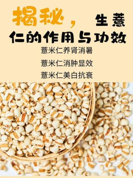 薏仁的功效与作用_薏仁的主治有哪些-第2张图片-山城妙识