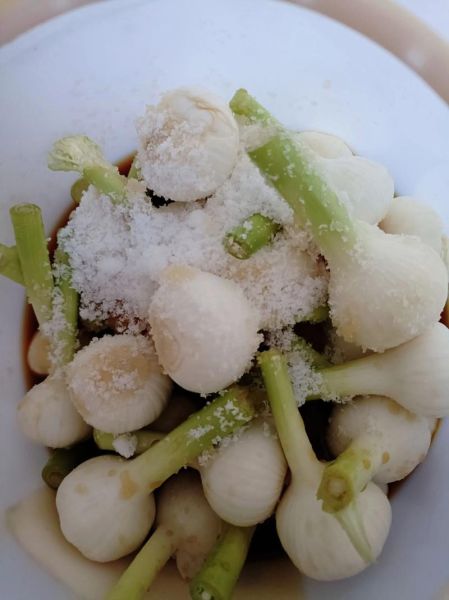 醋大蒜怎么腌制_醋大蒜的腌制方法-第3张图片-山城妙识