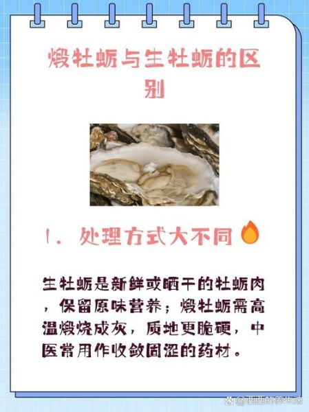 煅牡蛎的功效与作用_煅牡蛎的禁忌有哪些-第2张图片-山城妙识