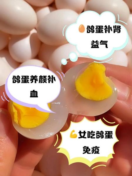 长期吃鸽子蛋的好处_鸽子蛋的营养价值-第2张图片-山城妙识 长期吃鸽子蛋的好处_鸽子蛋的营养价值-第2张图片-山城妙识