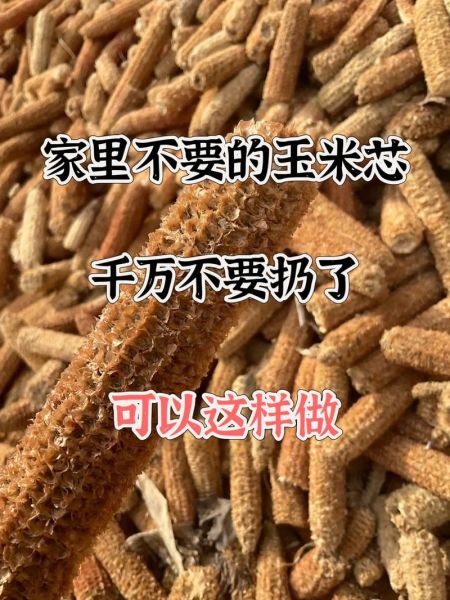 蘑菇怎么种_蘑菇种植方法-第3张图片-山城妙识