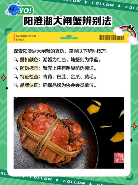 阳澄湖大闸蟹怎么卖_阳澄湖大闸蟹价格多少钱-第3张图片-山城妙识