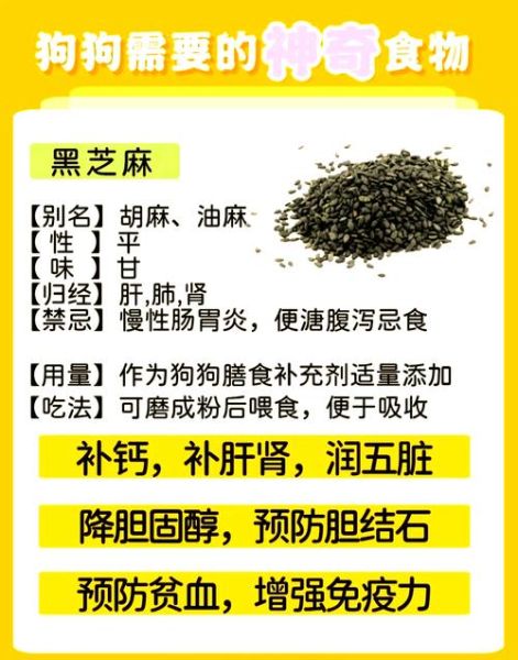 芝麻有什么功效_黑芝麻和白芝麻哪个更营养-第2张图片-山城妙识 芝麻有什么功效_黑芝麻和白芝麻哪个更营养-第2张图片-山城妙识
