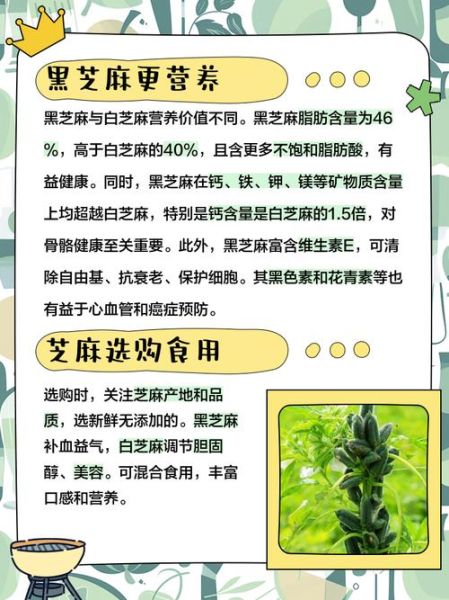 芝麻有什么功效_黑芝麻和白芝麻哪个更营养-第1张图片-山城妙识 芝麻有什么功效_黑芝麻和白芝麻哪个更营养-第1张图片-山城妙识