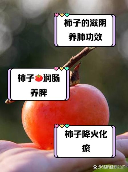 柿子有什么功效与作用_吃柿子能降火吗-第1张图片-山城妙识 柿子有什么功效与作用_吃柿子能降火吗-第1张图片-山城妙识