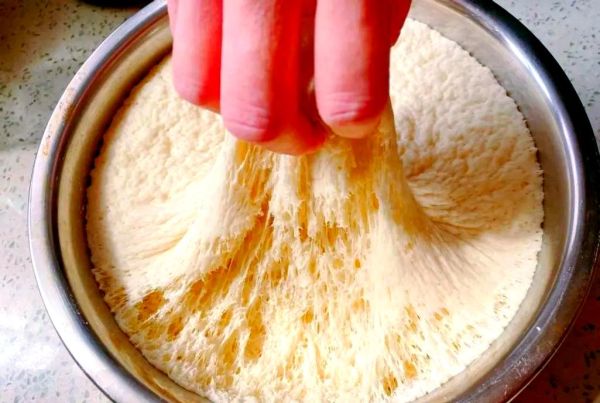 面粉发酵温度多少合适_冬天怎么发面-第3张图片-山城妙识