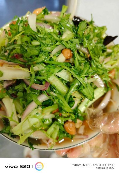 苦菊怎么炒着吃好吃_苦菊炒蛋做法窍门-第2张图片-山城妙识