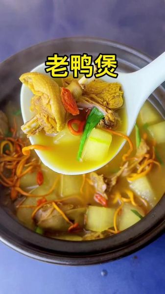老鸭汤怎么炖才白_老鸭汤用什么鸭子最好-第1张图片-山城妙识