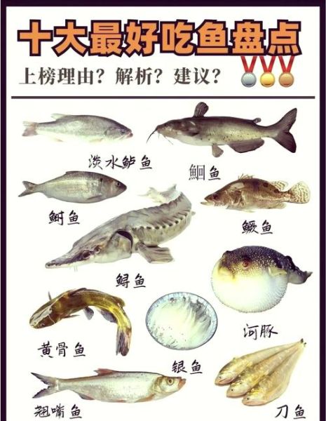 国内淡水鱼品种大全集_哪些鱼适合家庭养殖-第1张图片-山城妙识