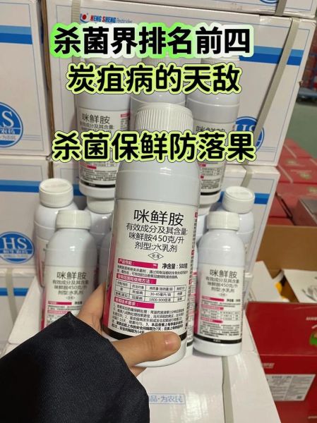 咪鲜胺药害怎么补救_咪鲜胺药害症状有哪些-第1张图片-山城妙识