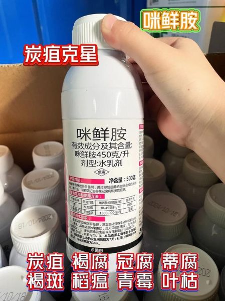 咪鲜胺药害怎么补救_咪鲜胺药害症状有哪些-第2张图片-山城妙识