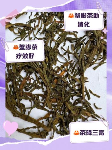 螃蟹脚茶怎么泡_螃蟹脚茶冲泡方法-第3张图片-山城妙识