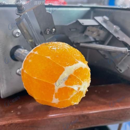 柳丁是什么水果_柳丁和橙子的区别-第1张图片-山城妙识 柳丁是什么水果_柳丁和橙子的区别-第1张图片-山城妙识