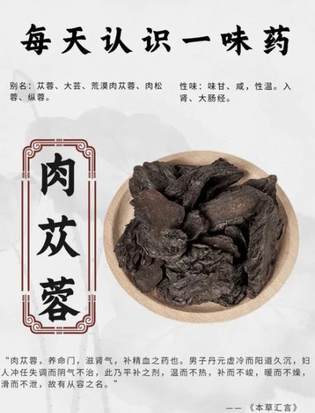 肉苁蓉功能主治功效是什么_肉苁蓉适合哪些人吃-第1张图片-山城妙识