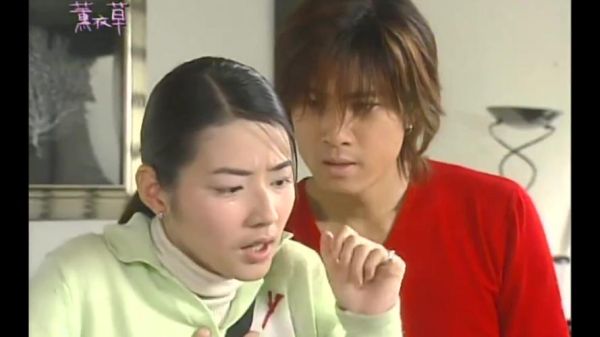 薰衣草电视剧哪里看_结局是什么-第2张图片-山城妙识