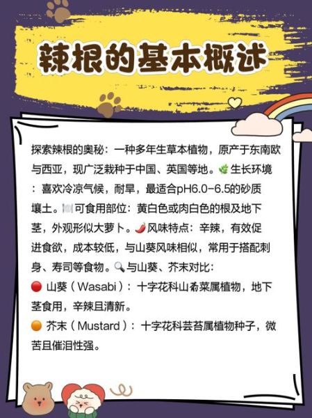 辣根怎么调_辣根调制方法大全-第1张图片-山城妙识 辣根怎么调_辣根调制方法大全-第1张图片-山城妙识