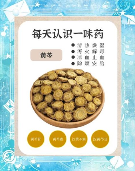 黄芩的功效与作用_黄芩泡水喝有什么禁忌-第1张图片-山城妙识