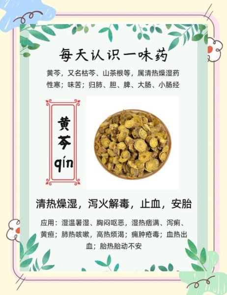 黄芩的功效与作用_黄芩泡水喝有什么禁忌-第3张图片-山城妙识