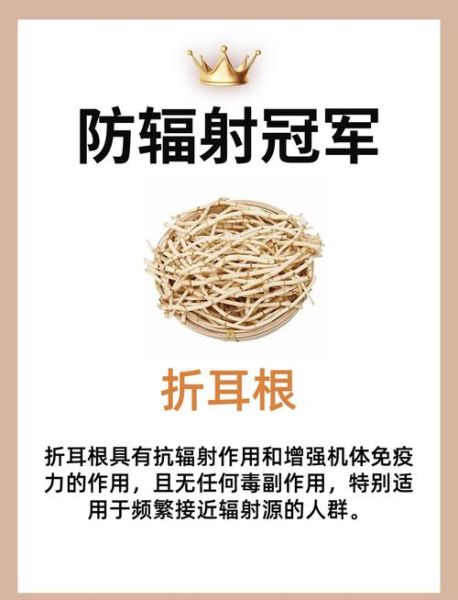 防辐射食物有哪些_哪些食物防辐射最有效-第1张图片-山城妙识