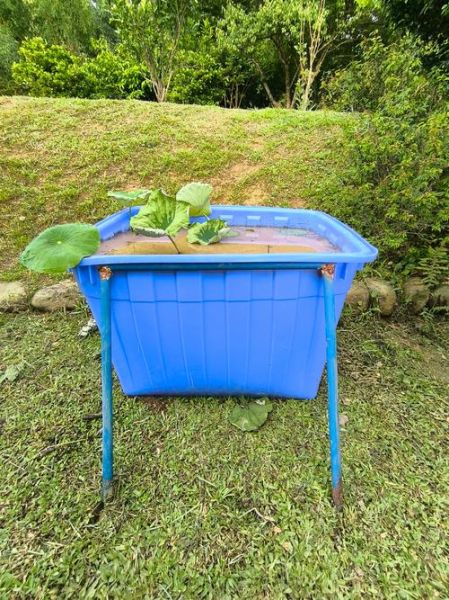 牛筋木箱是什么_牛筋木箱多少钱-第3张图片-山城妙识