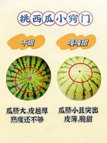 山竹图片大全_如何挑选成熟山竹-第1张图片-山城妙识