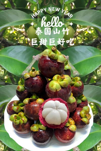 山竹图片大全_如何挑选成熟山竹-第3张图片-山城妙识