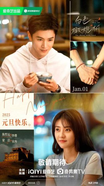 橄榄树电视剧剧情简介_结局是什么-第2张图片-山城妙识