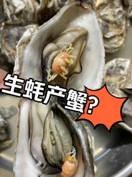 生蚝不撬开能直接蒸吗_蒸多久才熟-第1张图片-山城妙识 生蚝不撬开能直接蒸吗_蒸多久才熟-第1张图片-山城妙识