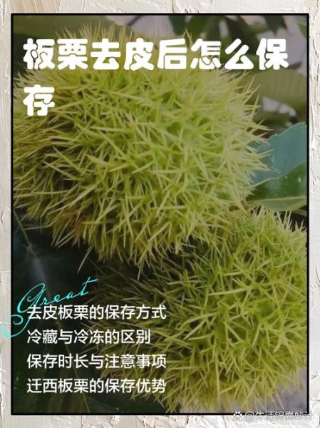 板栗去皮后怎么保存_去皮板栗能放多久-第1张图片-山城妙识