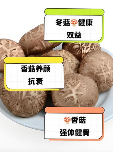 冬菇的营养价值_冬菇的功效与作用-第2张图片-山城妙识 冬菇的营养价值_冬菇的功效与作用-第2张图片-山城妙识