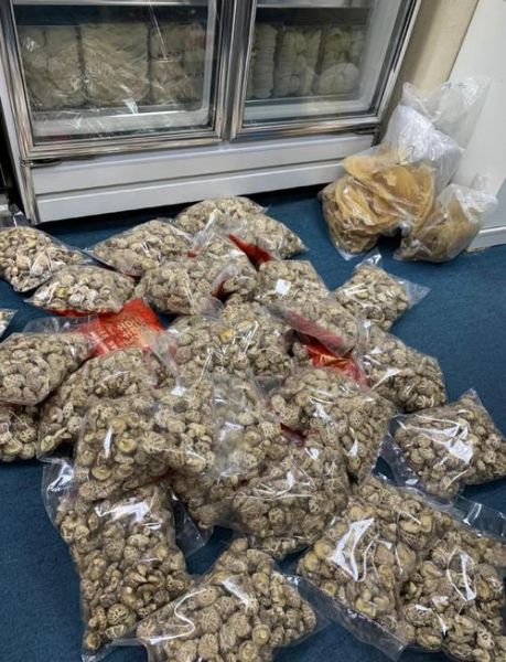 冬菇的营养价值_冬菇的功效与作用-第1张图片-山城妙识 冬菇的营养价值_冬菇的功效与作用-第1张图片-山城妙识