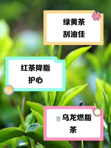 哪种绿茶最刮油_绿茶减肥喝多久见效-第2张图片-山城妙识