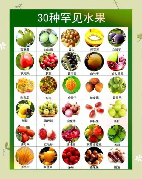 罕见水果有哪些_它们的功效与吃法-第2张图片-山城妙识