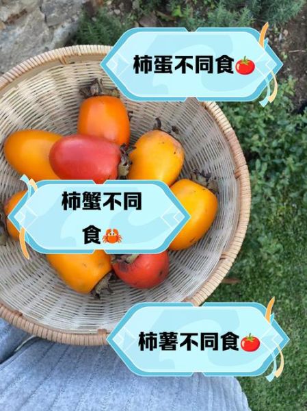 柿子不能和什么一起吃大全_吃柿子有哪些禁忌-第3张图片-山城妙识 柿子不能和什么一起吃大全_吃柿子有哪些禁忌-第3张图片-山城妙识