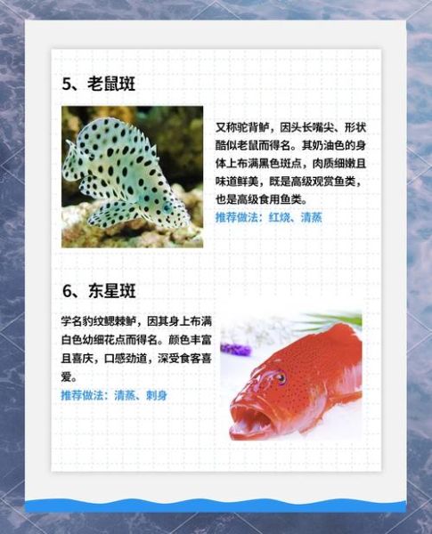 石斑鱼种类图片大全_如何区分常见石斑鱼-第3张图片-山城妙识