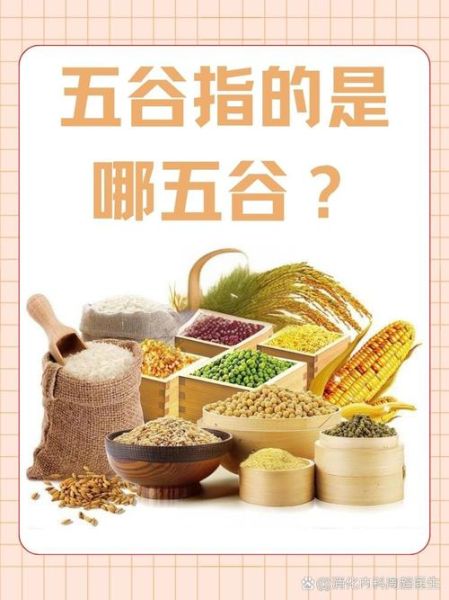 五谷杂粮有哪几种_五谷杂粮有哪些-第3张图片-山城妙识 五谷杂粮有哪几种_五谷杂粮有哪些-第3张图片-山城妙识