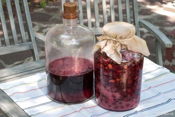 自酿葡萄酒的功效与作用_自酿葡萄酒对身体好吗-第3张图片-山城妙识