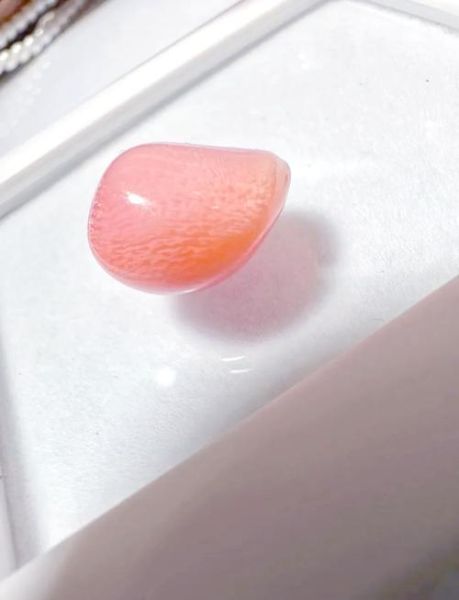 海螺珠在海螺的哪个部位_海螺珠形成位置详解-第2张图片-山城妙识 海螺珠在海螺的哪个部位_海螺珠形成位置详解-第2张图片-山城妙识