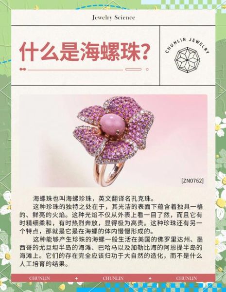 海螺珠在海螺的哪个部位_海螺珠形成位置详解-第3张图片-山城妙识 海螺珠在海螺的哪个部位_海螺珠形成位置详解-第3张图片-山城妙识