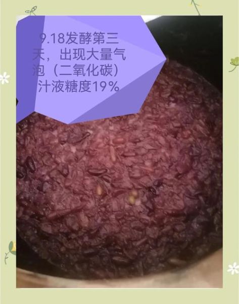 葡萄酒的做法_自酿葡萄酒简单方法-第3张图片-山城妙识