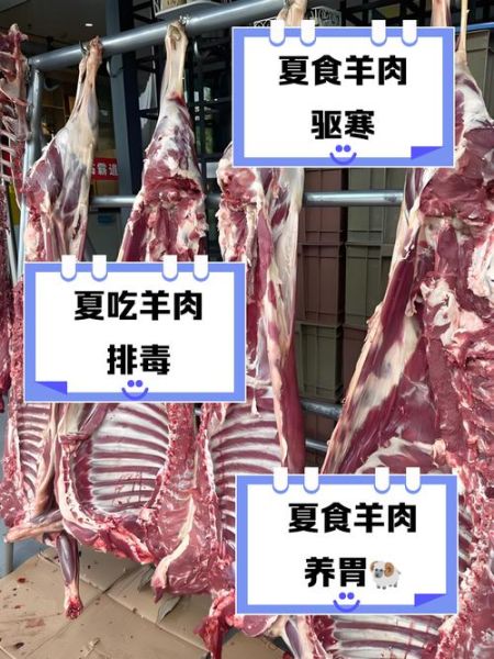 夏天吃羊肉好吗_夏天吃羊肉会上火吗-第1张图片-山城妙识