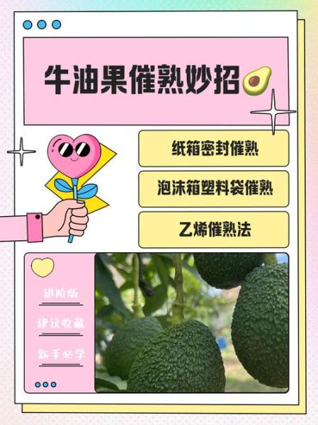 牛油果怎么催熟最快_最快催熟牛油果的方法-第1张图片-山城妙识