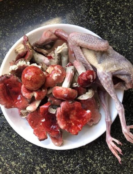 红菇怎么做好吃_红菇做法大全-第2张图片-山城妙识