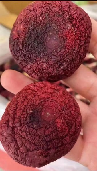 红菇怎么做好吃_红菇做法大全-第1张图片-山城妙识