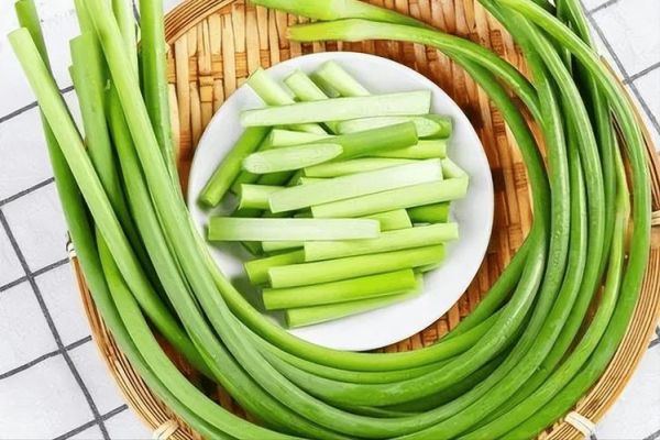 蒜苔怎么长出来的_蒜苔生长全过程-第3张图片-山城妙识