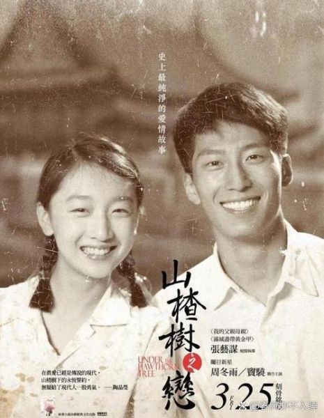 山楂树之恋讲了什么故事_静秋和老三结局如何-第3张图片-山城妙识